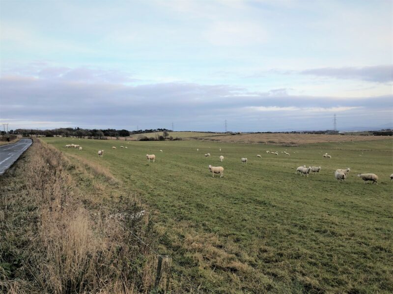 Project Update - Dunfermline Solar